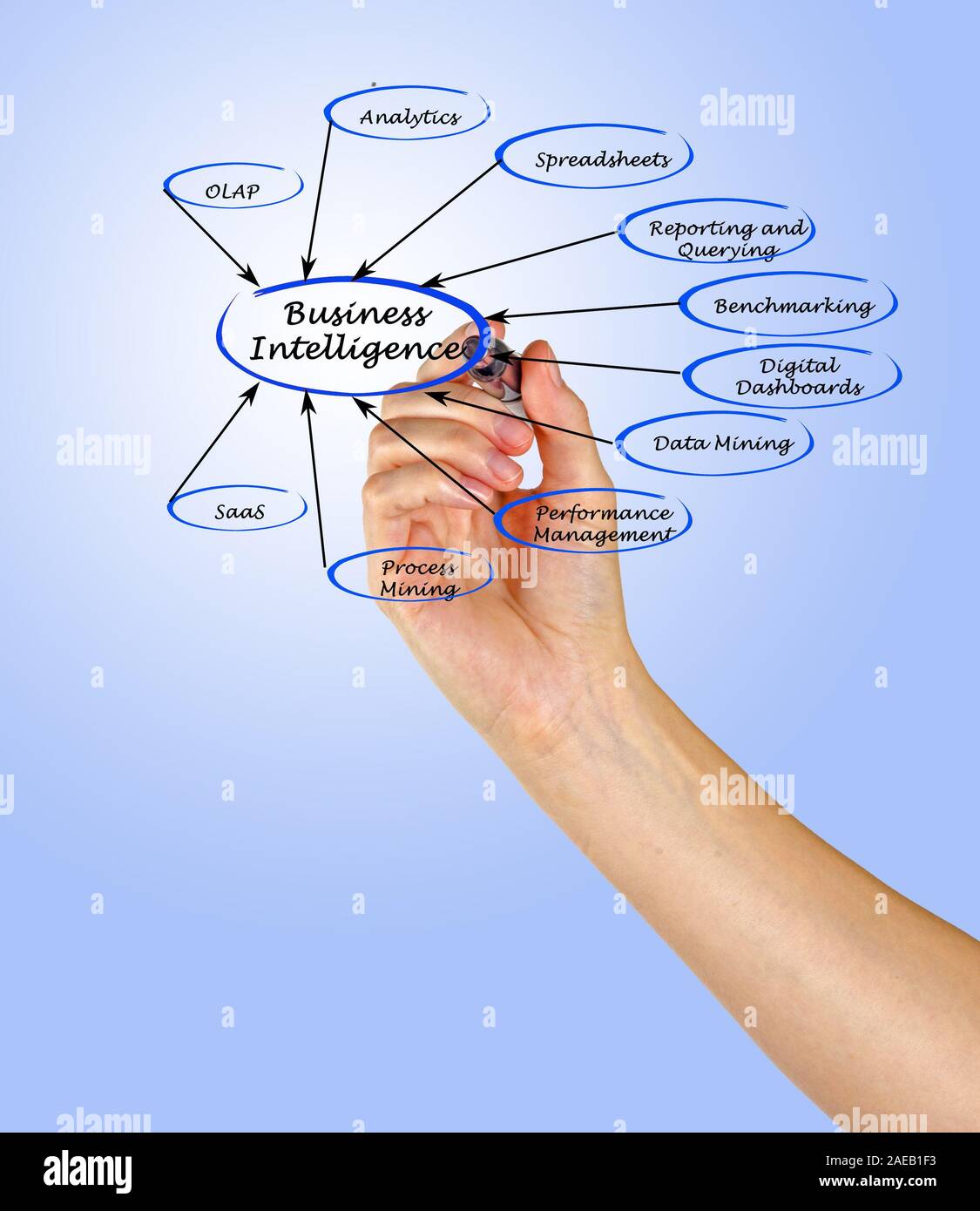 Diagram of Business Intelligence Stock Photo - Alamy