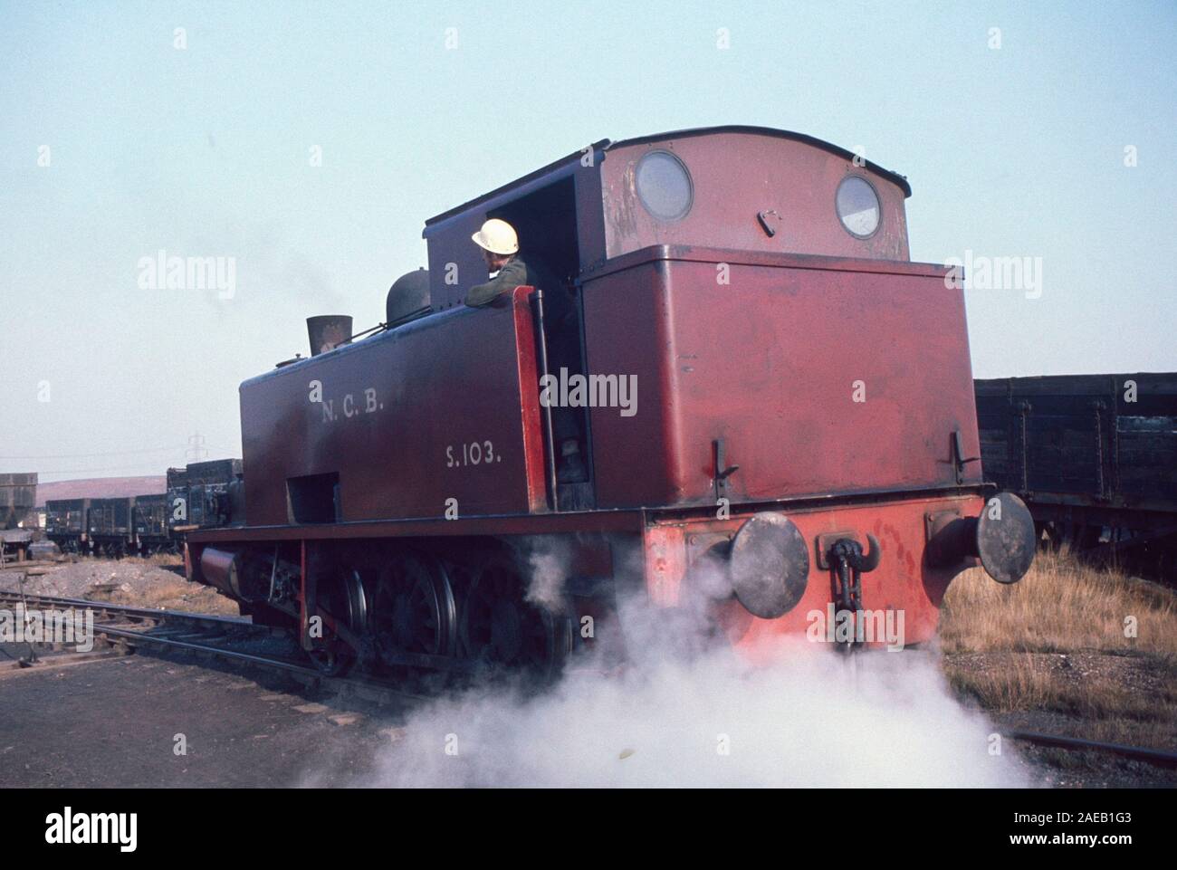 Steam engine shunting coal wagons at newmarket colliery hi-res stock ...