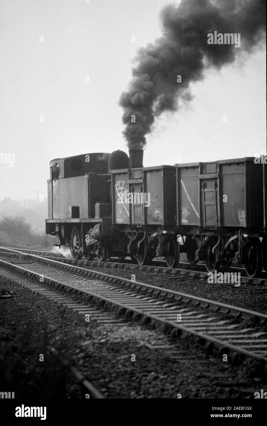 Steam engine shunting coal wagons at newmarket colliery Black and White ...