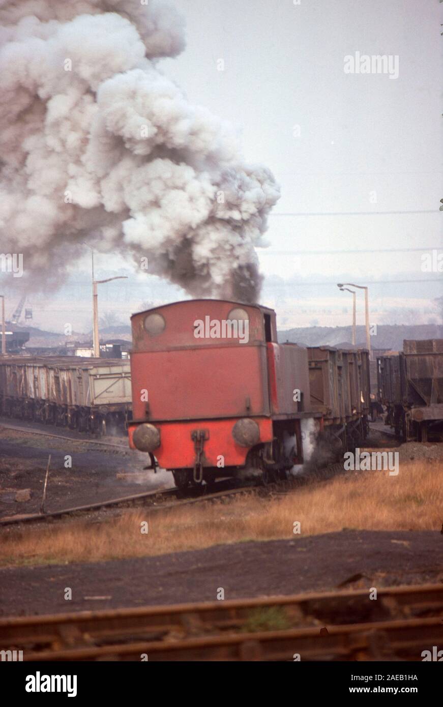 Steam engine shunting coal wagons at Newmarket Colliery, Wakefield ...