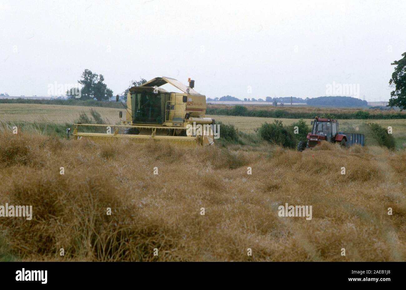 1970s england hi-res stock photography and images - Alamy