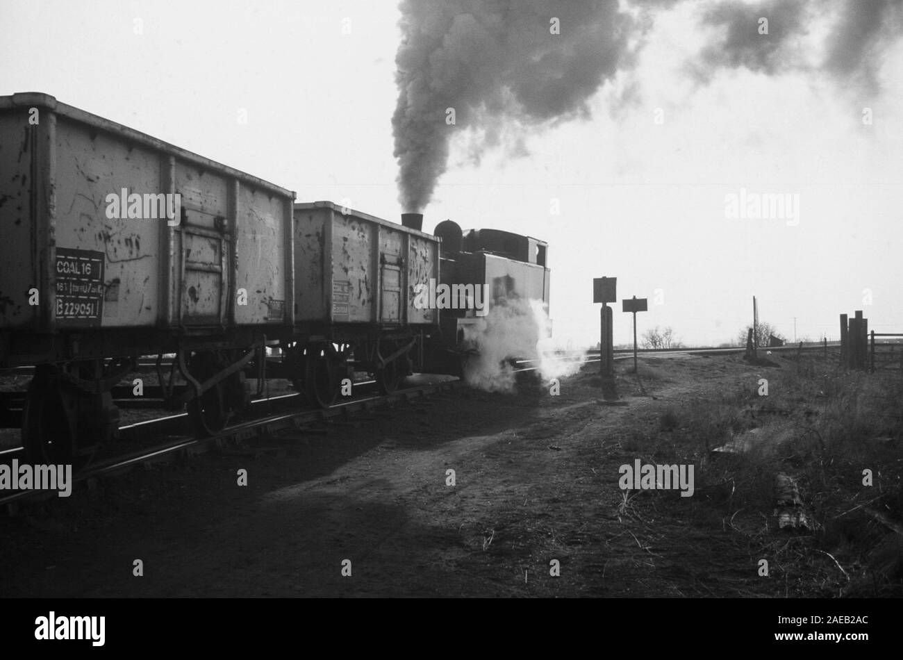Steam engine shunting coal wagons at Newmarket Colliery, Wakefield ...