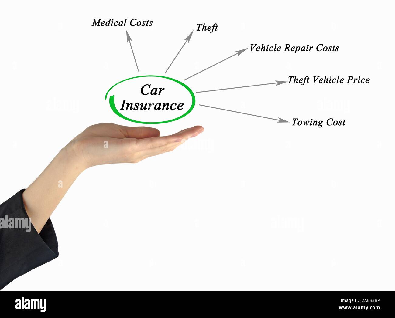Diagram of Car Insurance Stock Photo - Alamy