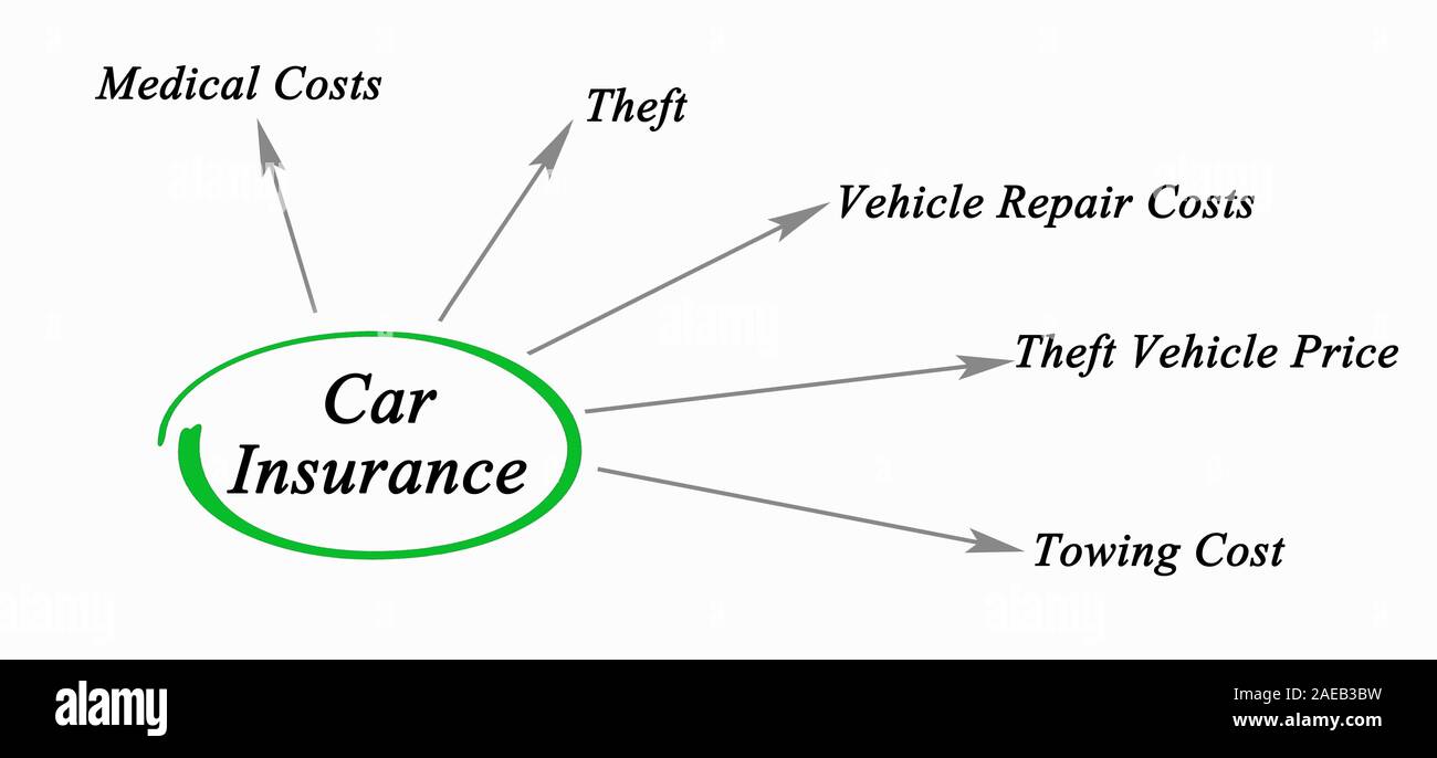 Diagram of Car Insurance Stock Photo - Alamy