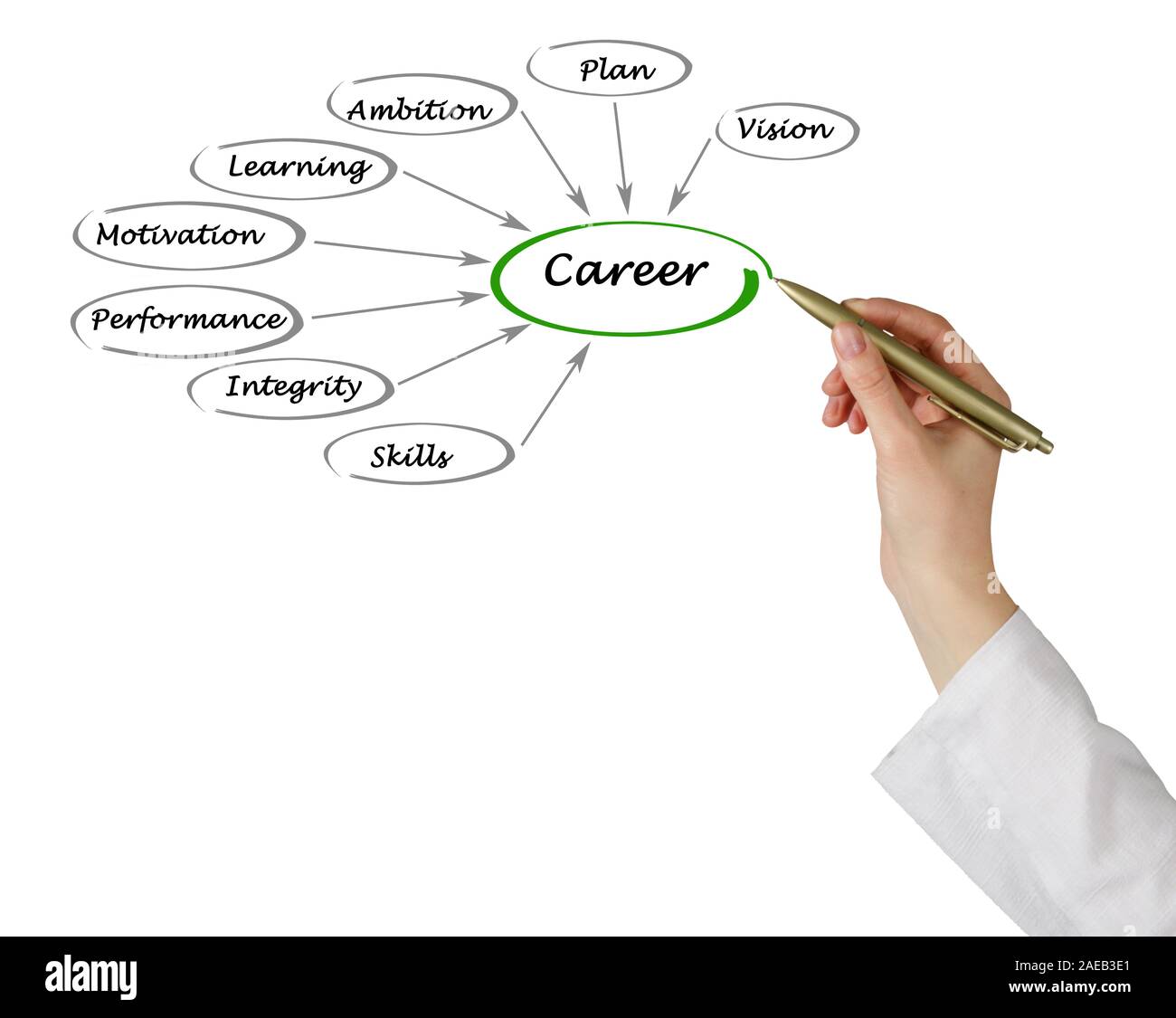 Diagram of Career development Stock Photo - Alamy
