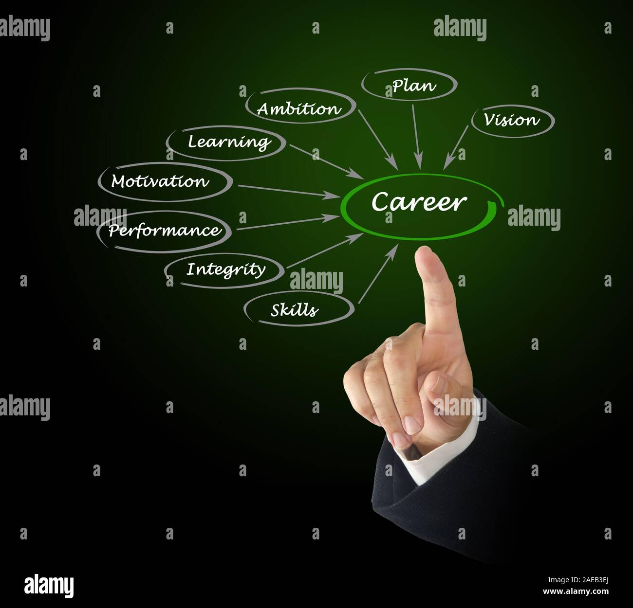 Diagram of Career development Stock Photo - Alamy