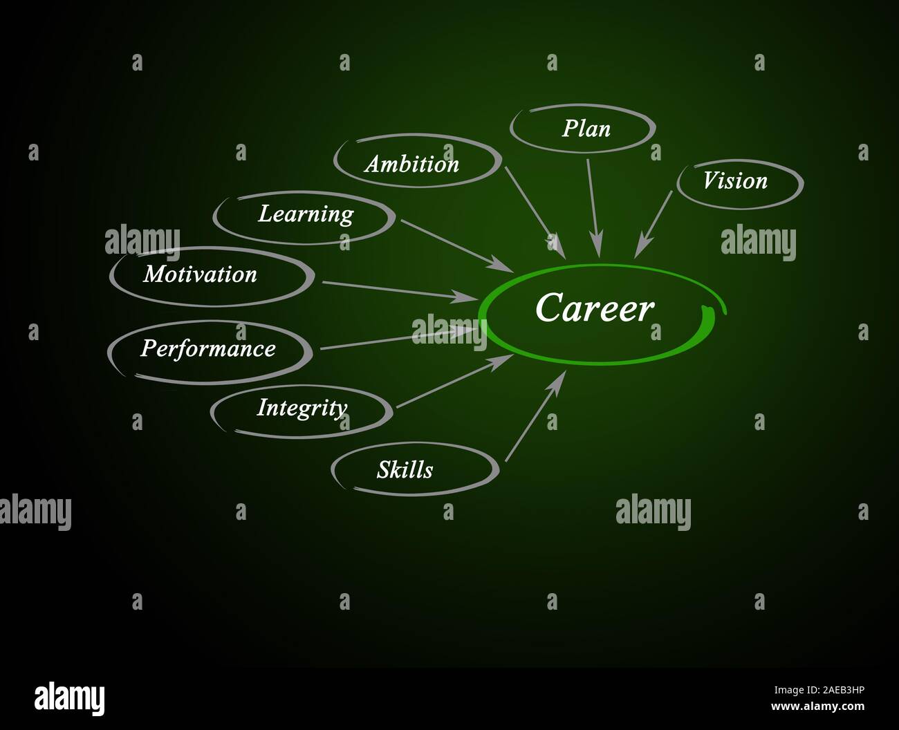 Diagram of Career development Stock Photo - Alamy