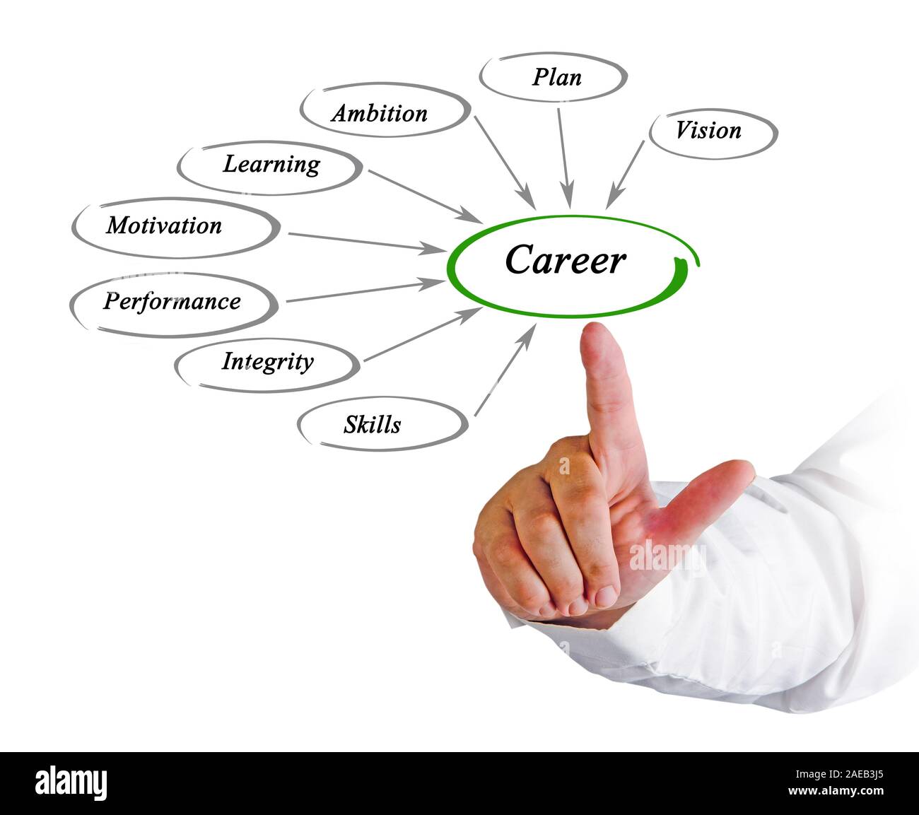 Diagram of Career development Stock Photo - Alamy