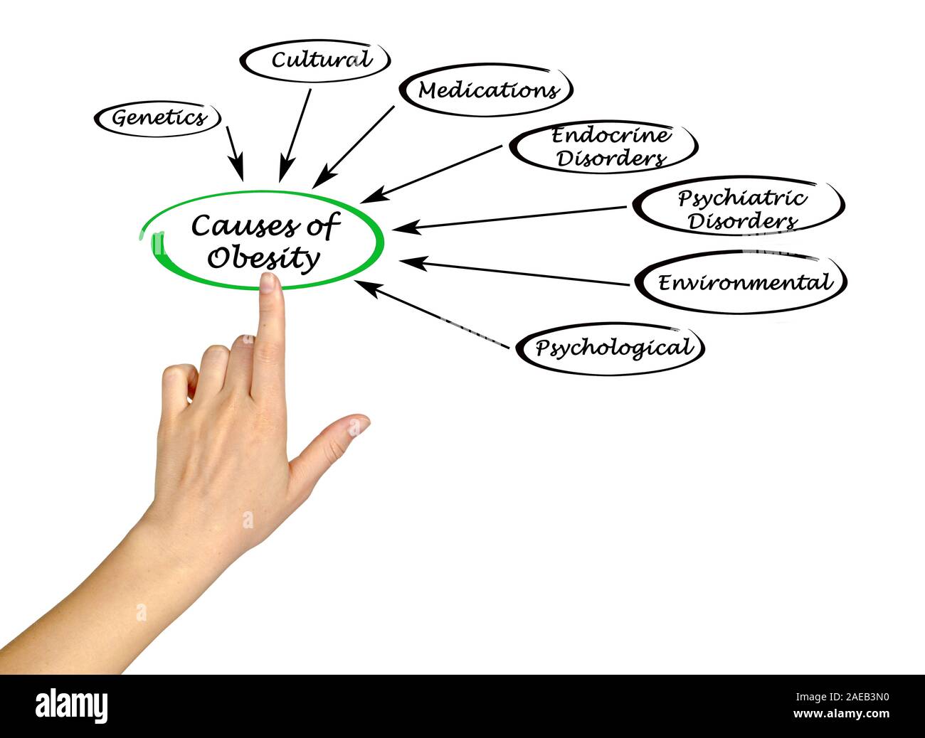 Causes of Obesity Stock Photo - Alamy
