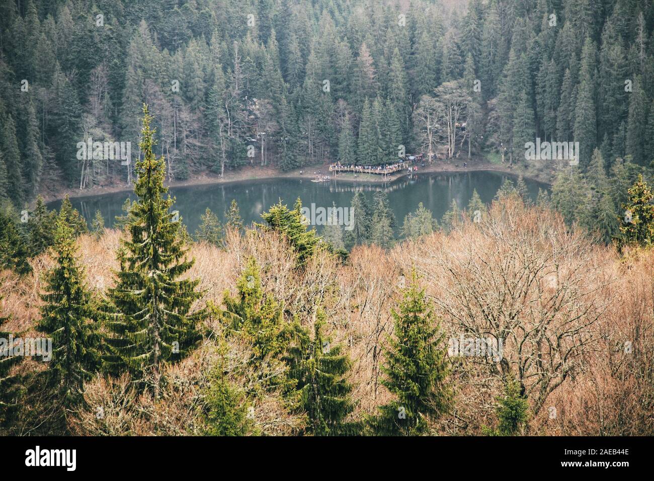 Beautiful landscapes of Ukraine. You can use it as a background for ...