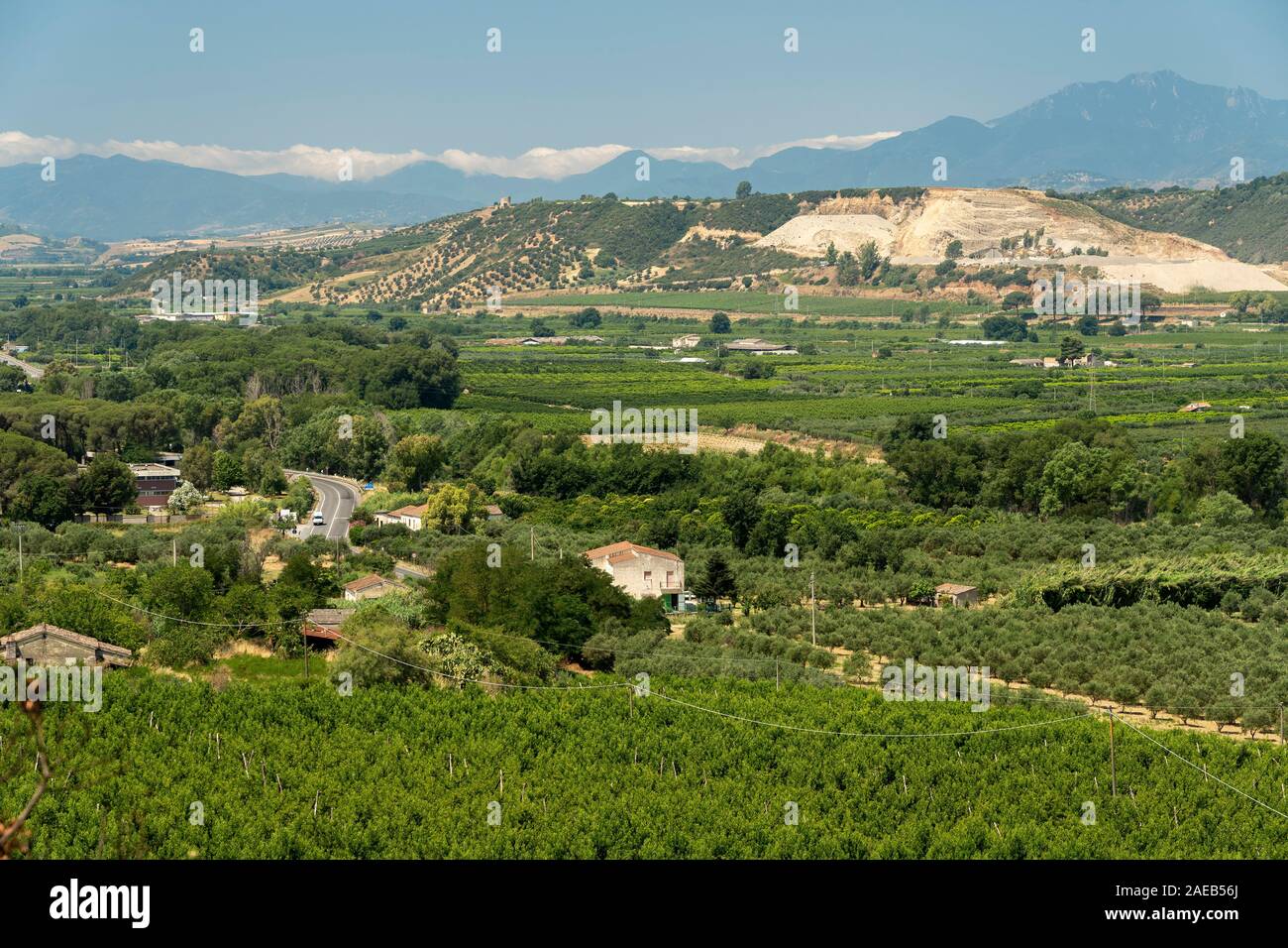 Rural landscape at summer in Calabria, Italy, near Spezzano Albanese ...