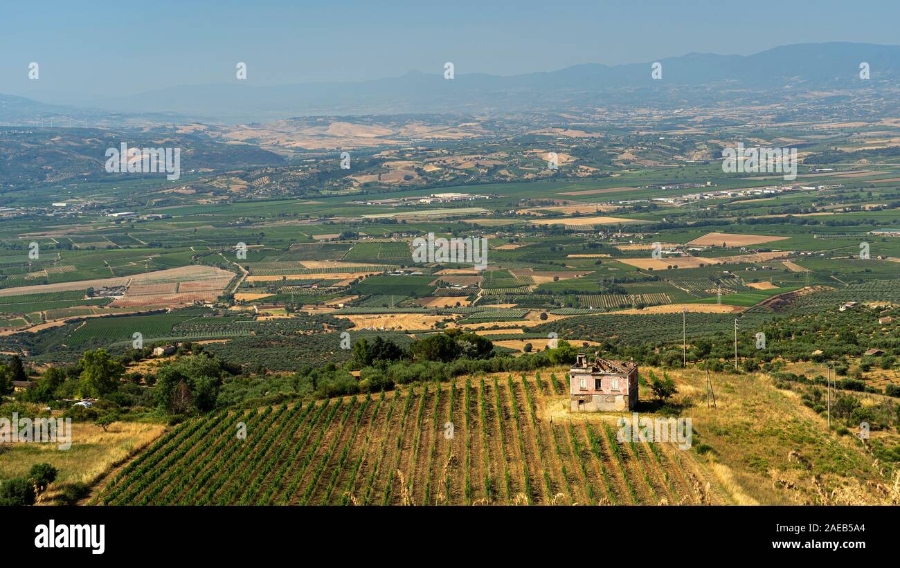Calabria italy vineyard hi-res stock photography and images - Alamy