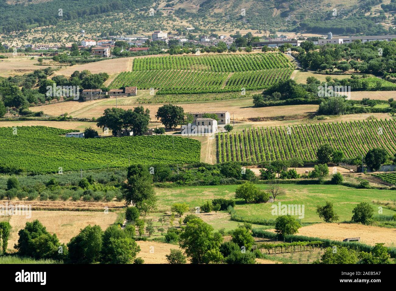 Mountain landscape at summer in Calabria, Italy, near Castrovillari and ...