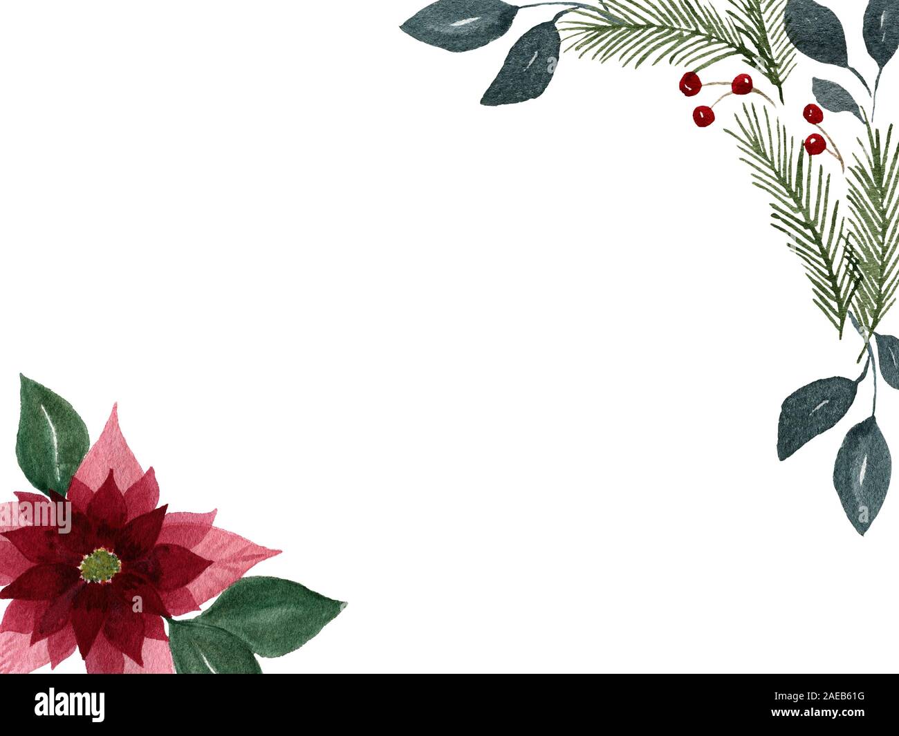 christmas floral background with poinsettia flower and fir tree ...