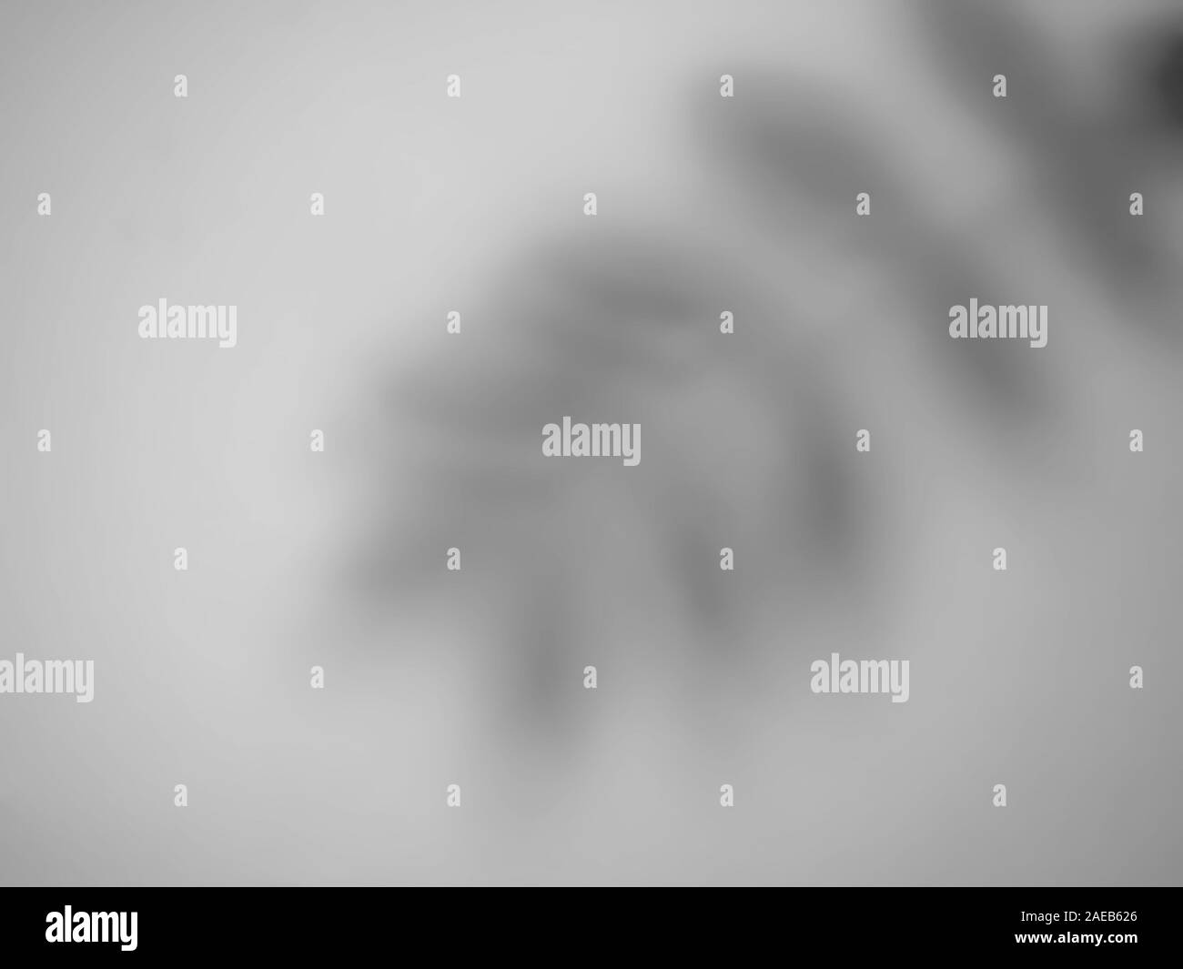 Natural background blurred leaf texture Black and White Stock Photos ...