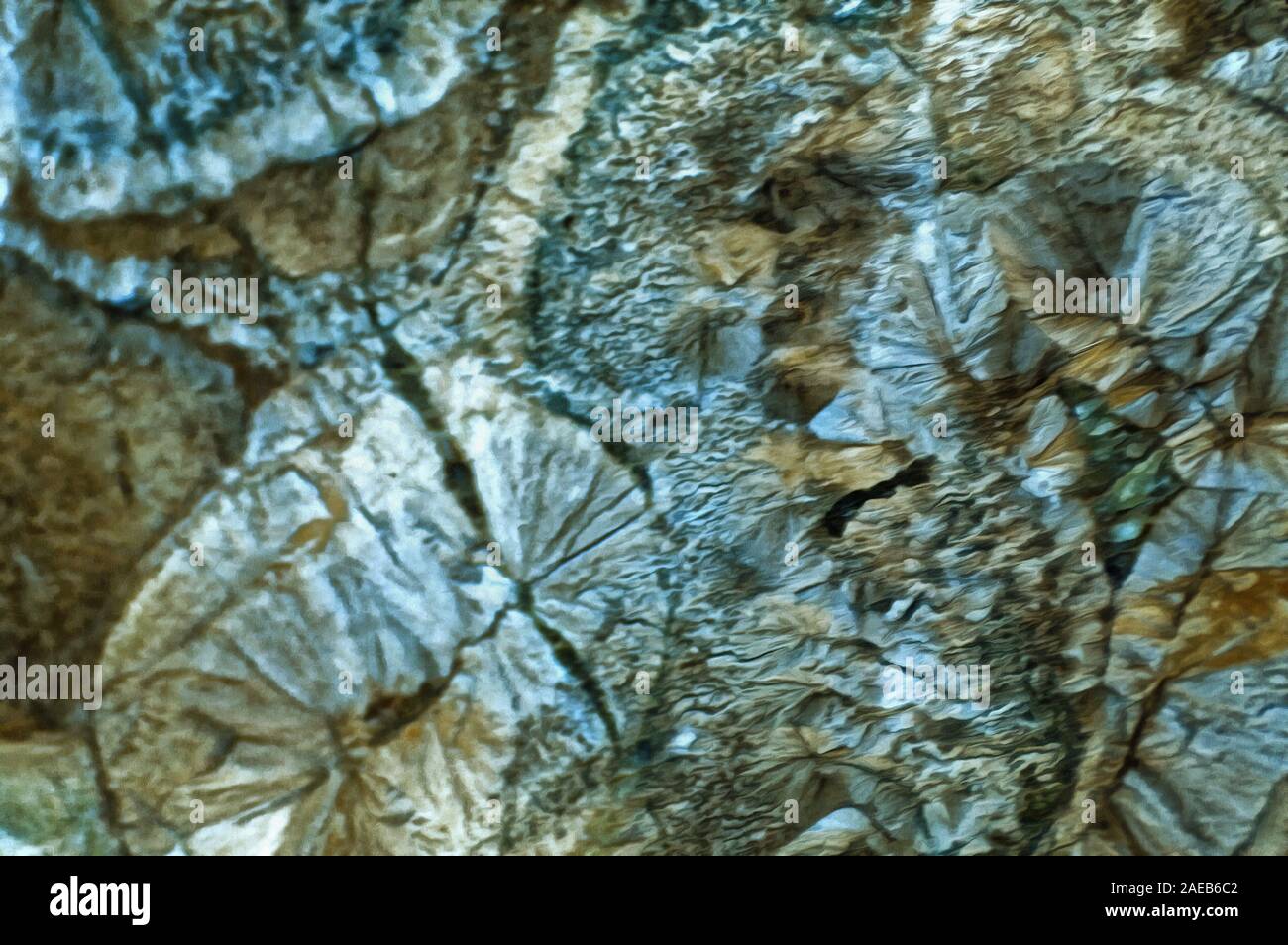 Wollastonite Thin Section