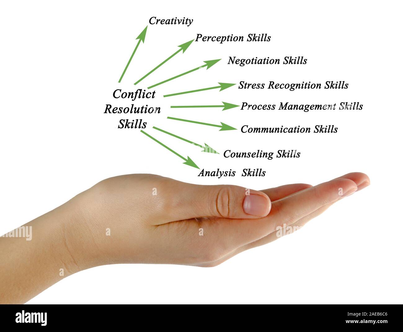 Conflict Resolution Skills