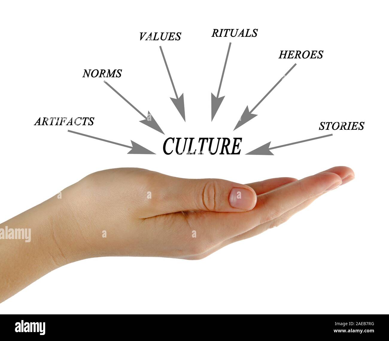 Components of culture Stock Photo - Alamy