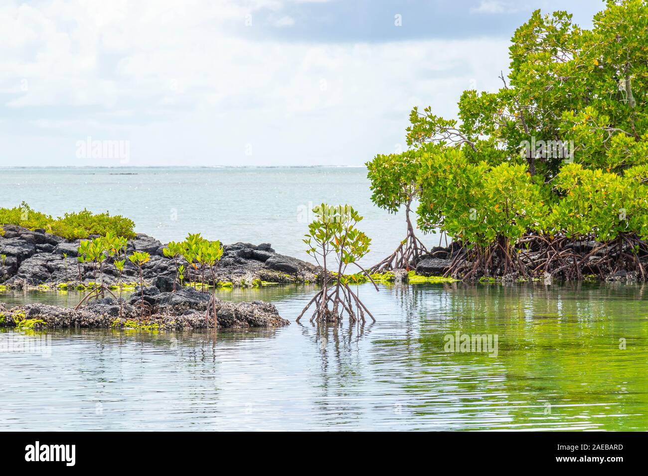 Blue bay lagoon mauritius hi-res stock photography and images - Alamy