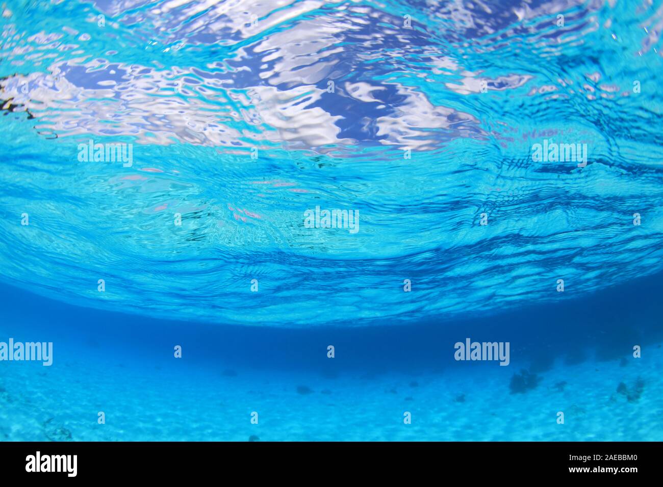 Caribbean descent hi-res stock photography and images - Alamy