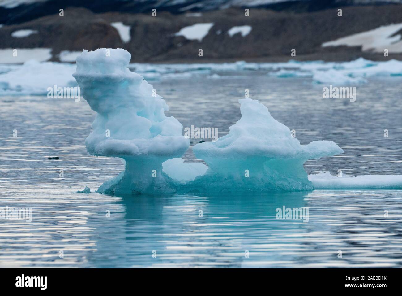 blue ice of glacier Dahlbreen. The ice of blue icebergs contains fewer ...