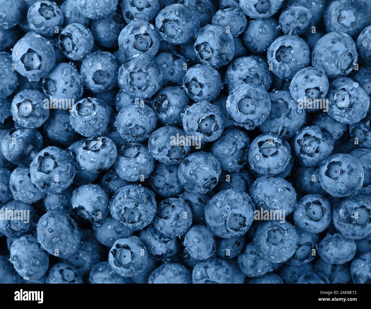 Close up background pattern of blue toned fresh washed wet blueberry ...