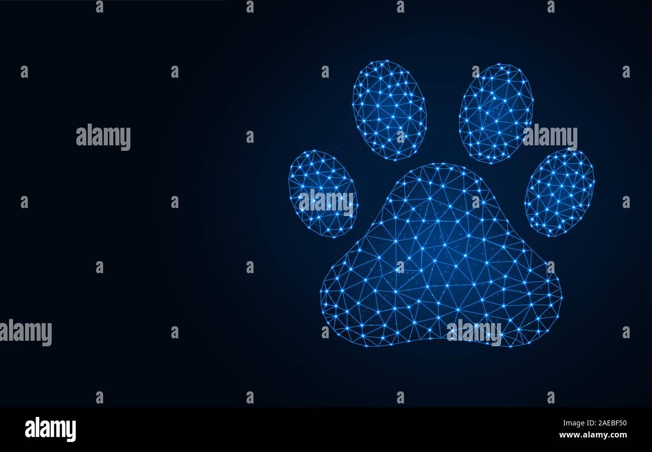 Pet footprints low poly design, cat and dog animal paw abstract ...