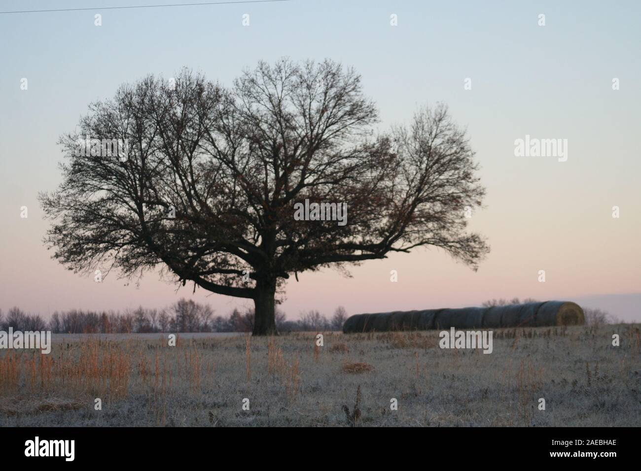 Missouri farming hi-res stock photography and images - Alamy