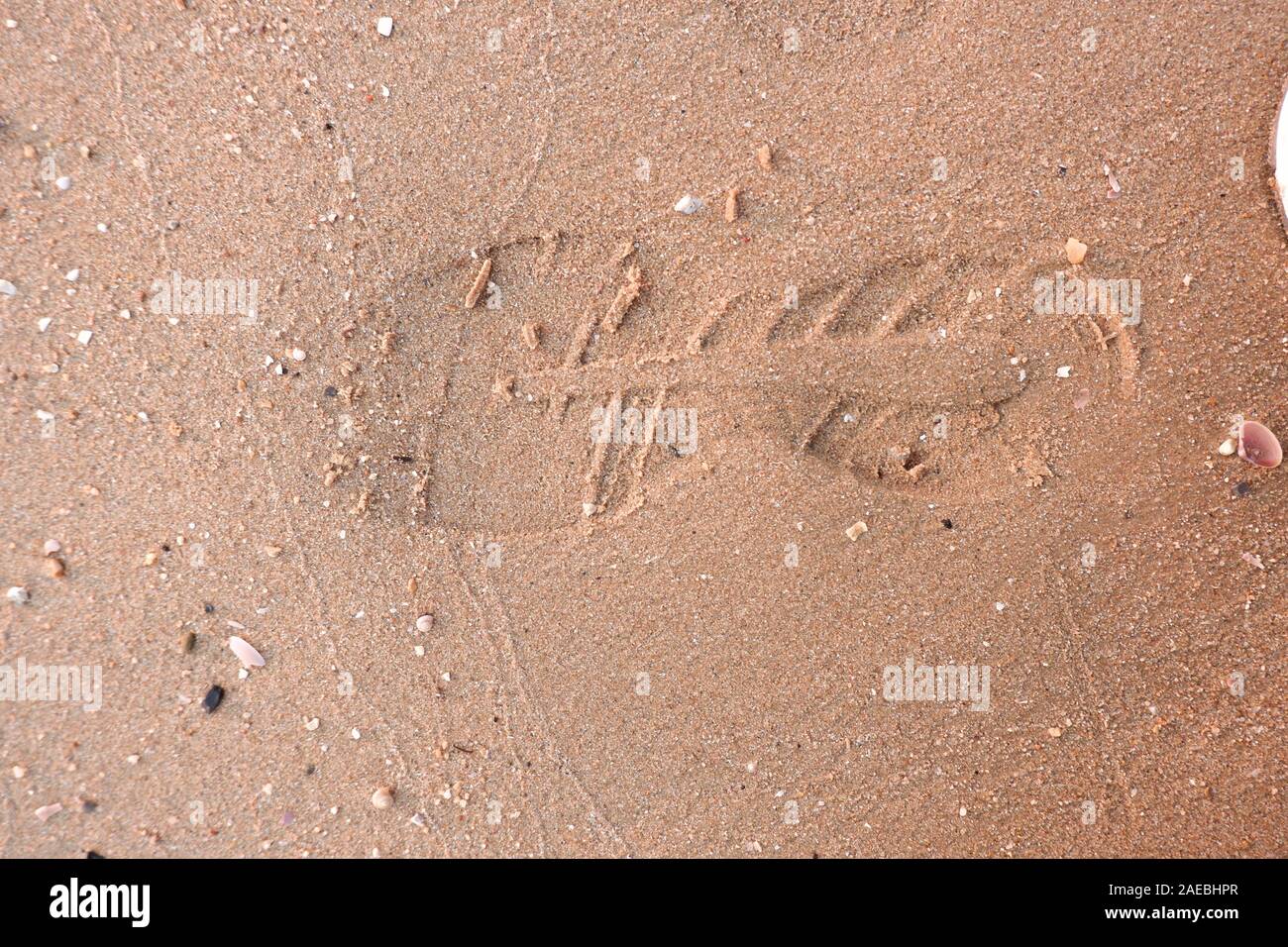 Beautiful shoe marks on the sand Stock Photo - Alamy