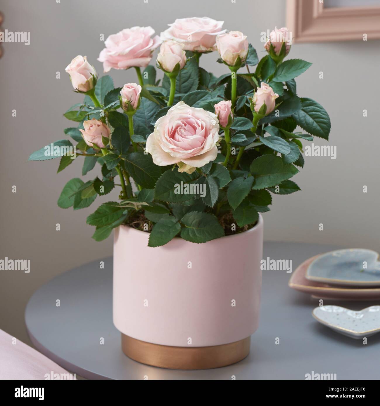 Beautiful flower vase hi-res stock photography and images - Alamy