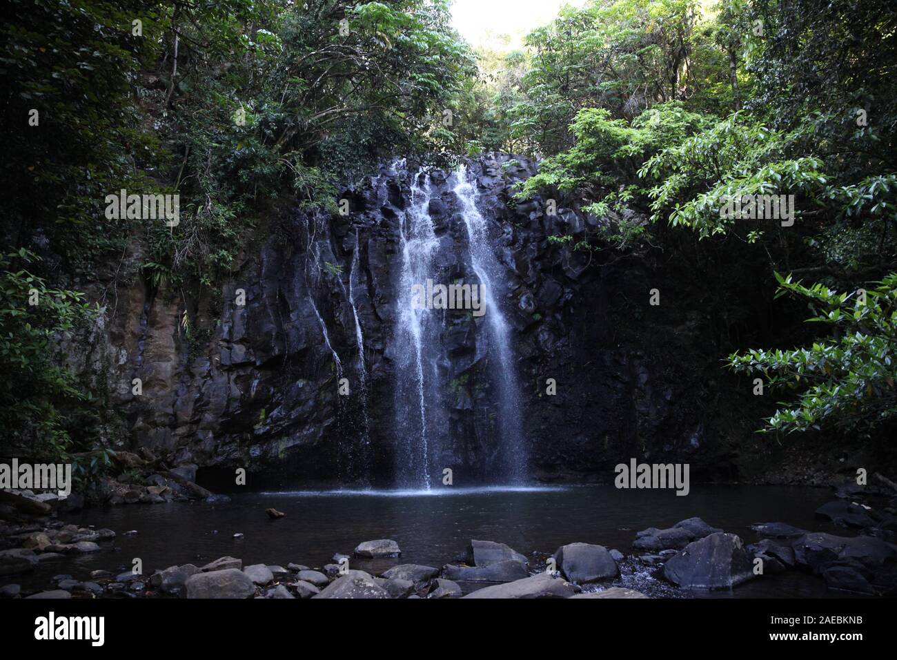 Beautiful waterfall hidden in the tropical rain forest - Image Stock ...