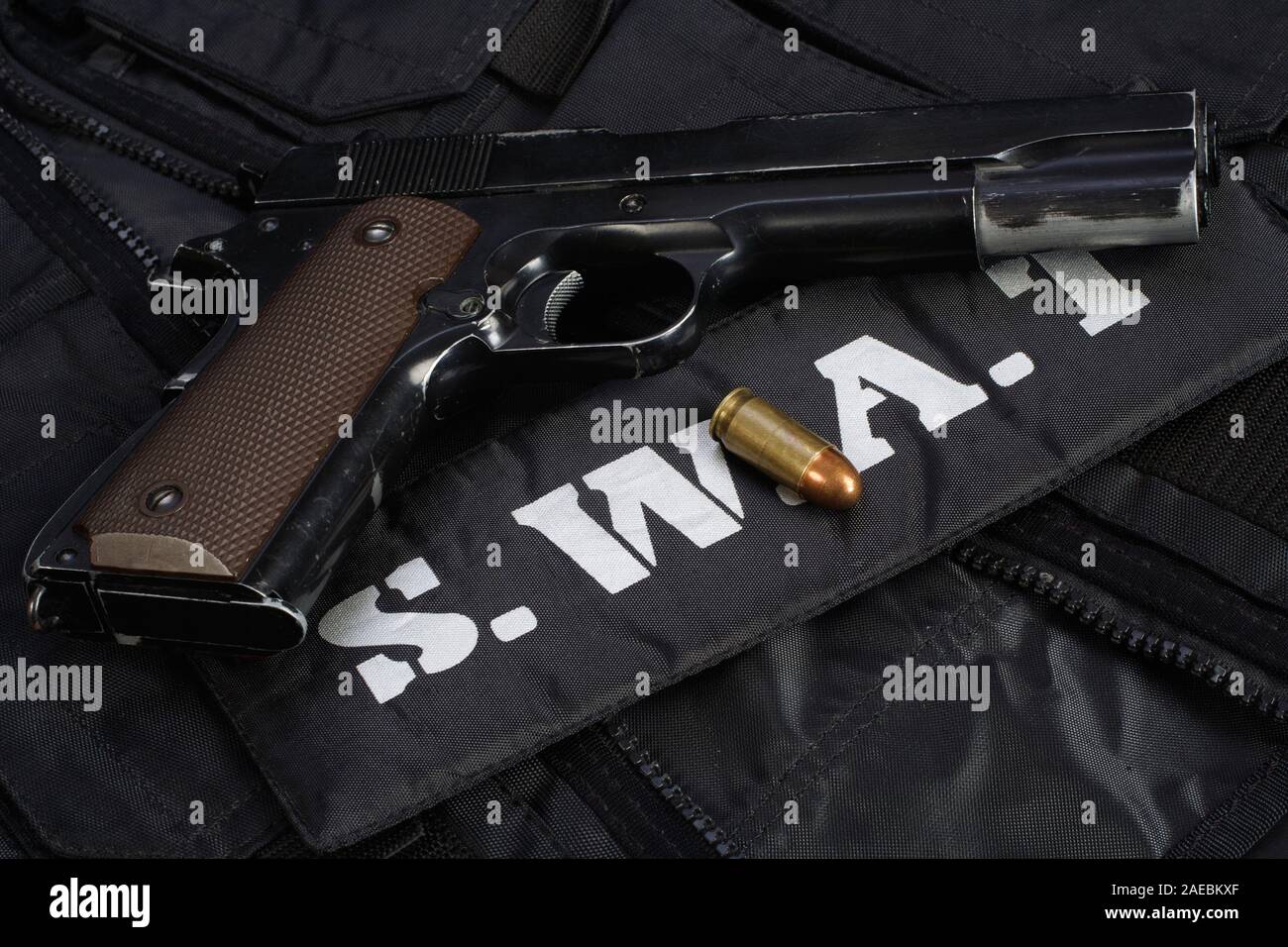 SWAT (Special weapons and tactics team) weapon ammunitions and ...