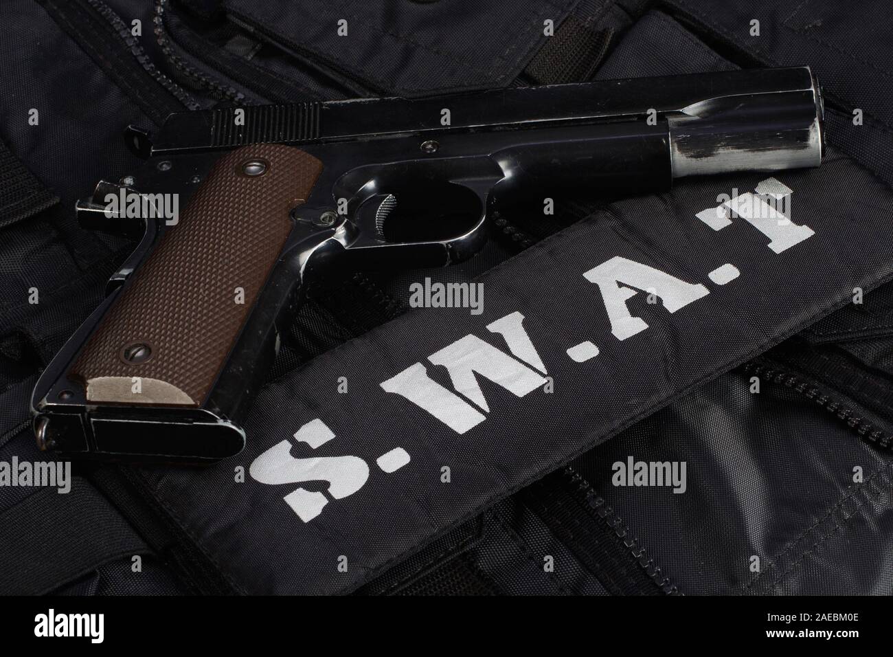 SWAT (Special weapons and tactics team) weapon ammunitions and ...