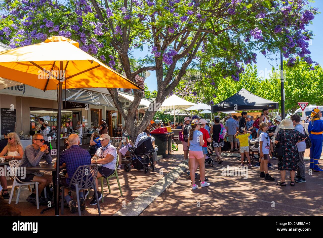 Jacaranda festival hi-res stock photography and images - Alamy