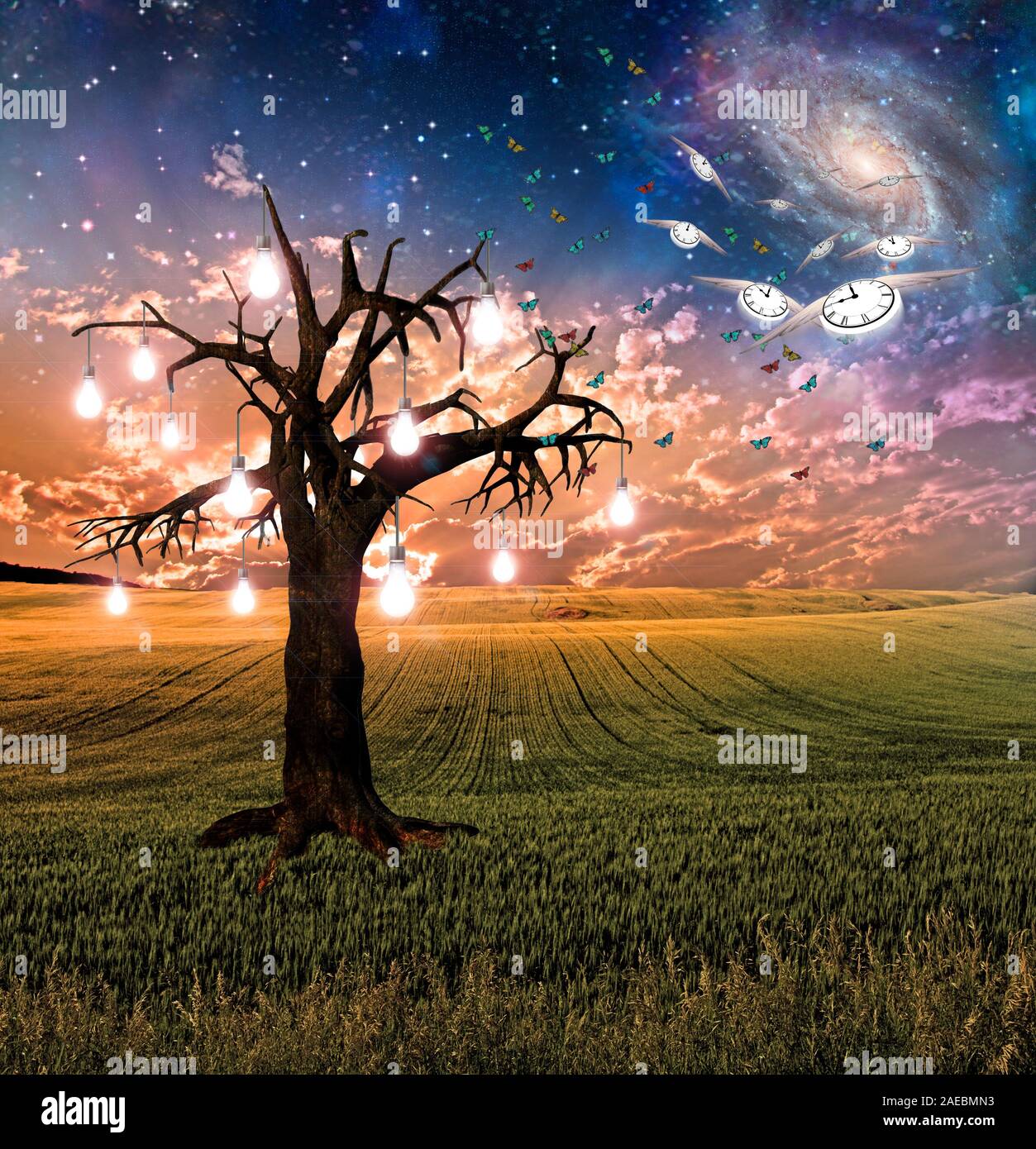 Glowing Bulb Tree. Sunset or Sunrise Stock Photo - Alamy