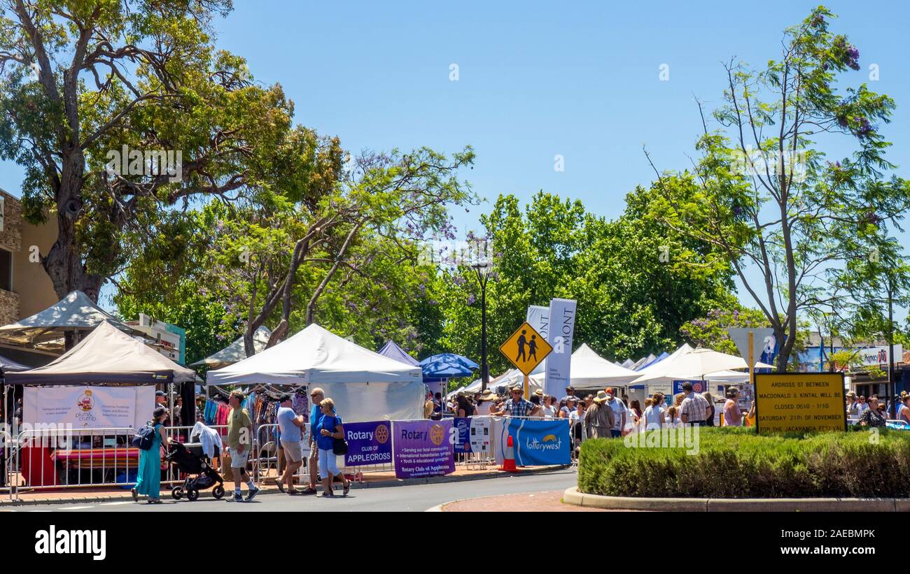 Jacaranda tree in full bloom during Rotary Jacaranda Festival 2019 at ...