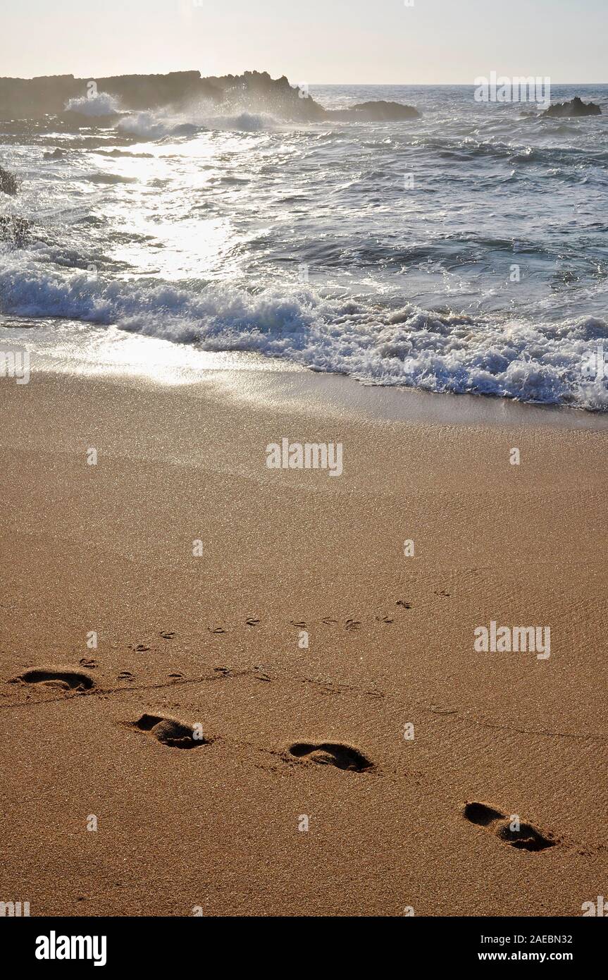 Human ocean hi-res stock photography and images - Alamy