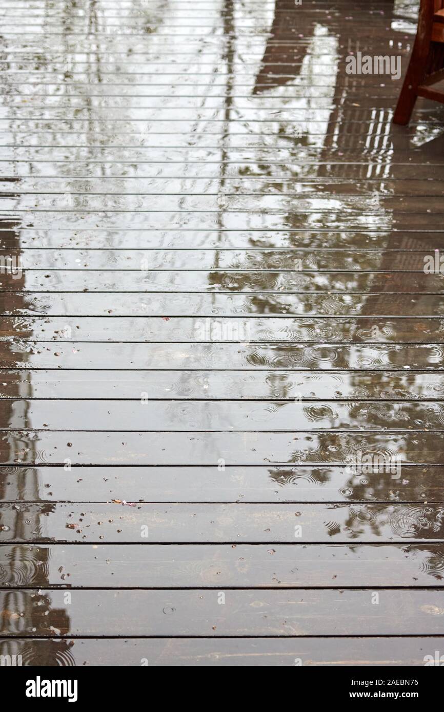 Wet wooden floor in a rainy day. Mirrored image of sky and trees by wet ...