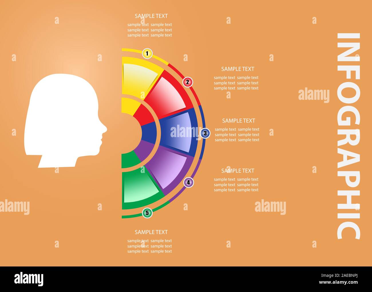 The woman's head silhouette surrounded by five colorful semicircular ...