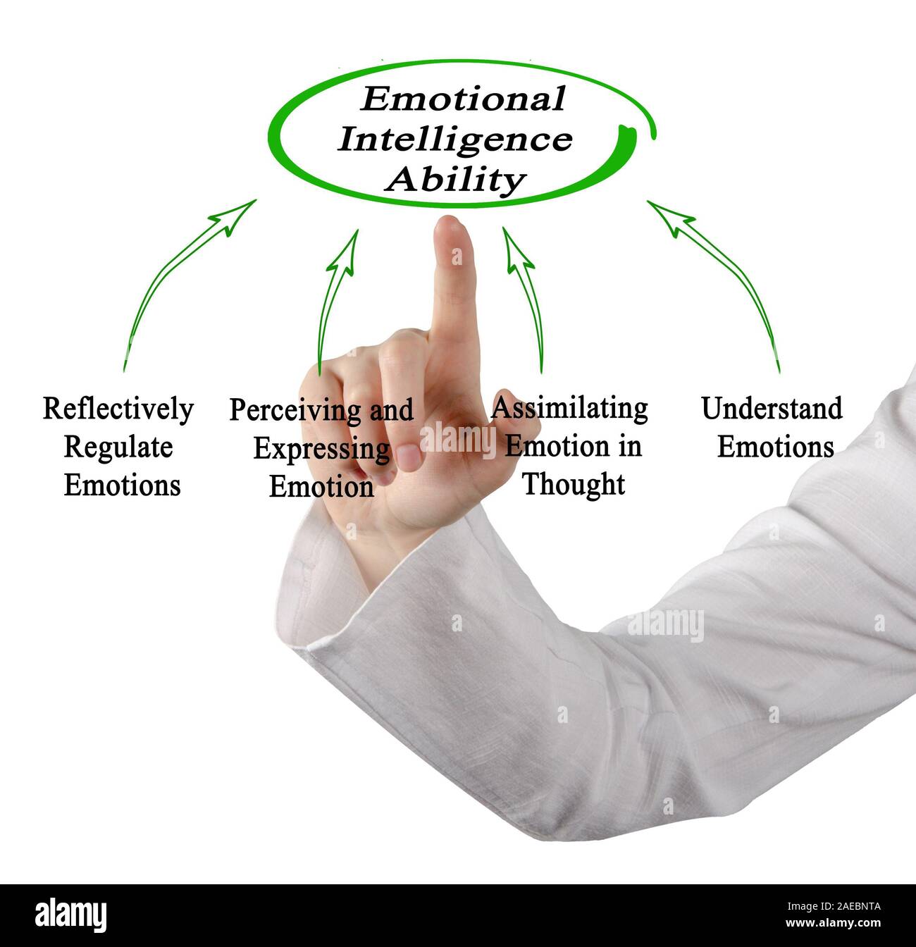 Emotional Intelligence Ability Stock Photo - Alamy
