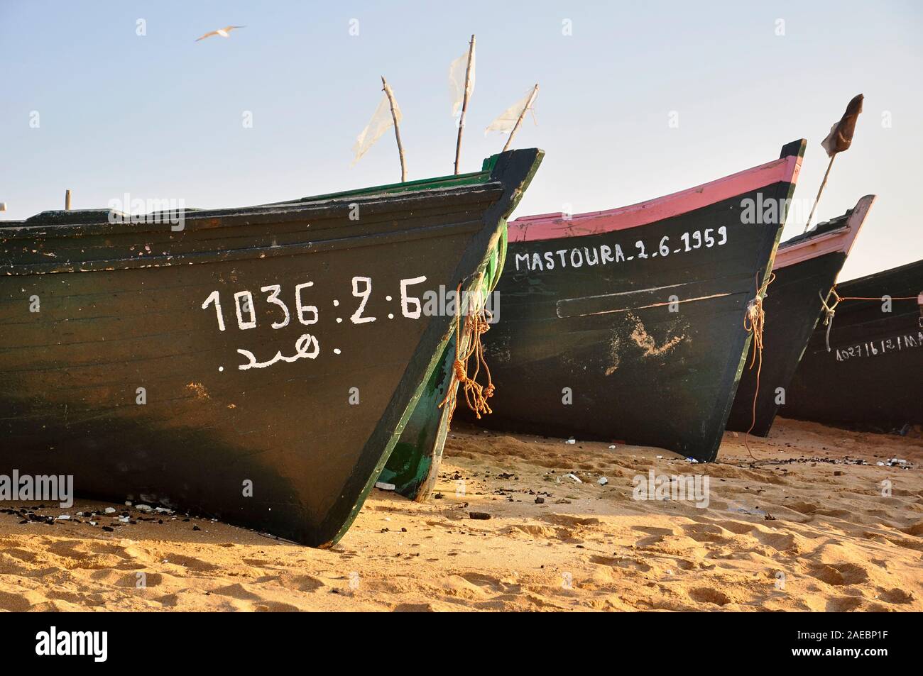 Traditional fishing boats with longline flags beached in the seashore ...
