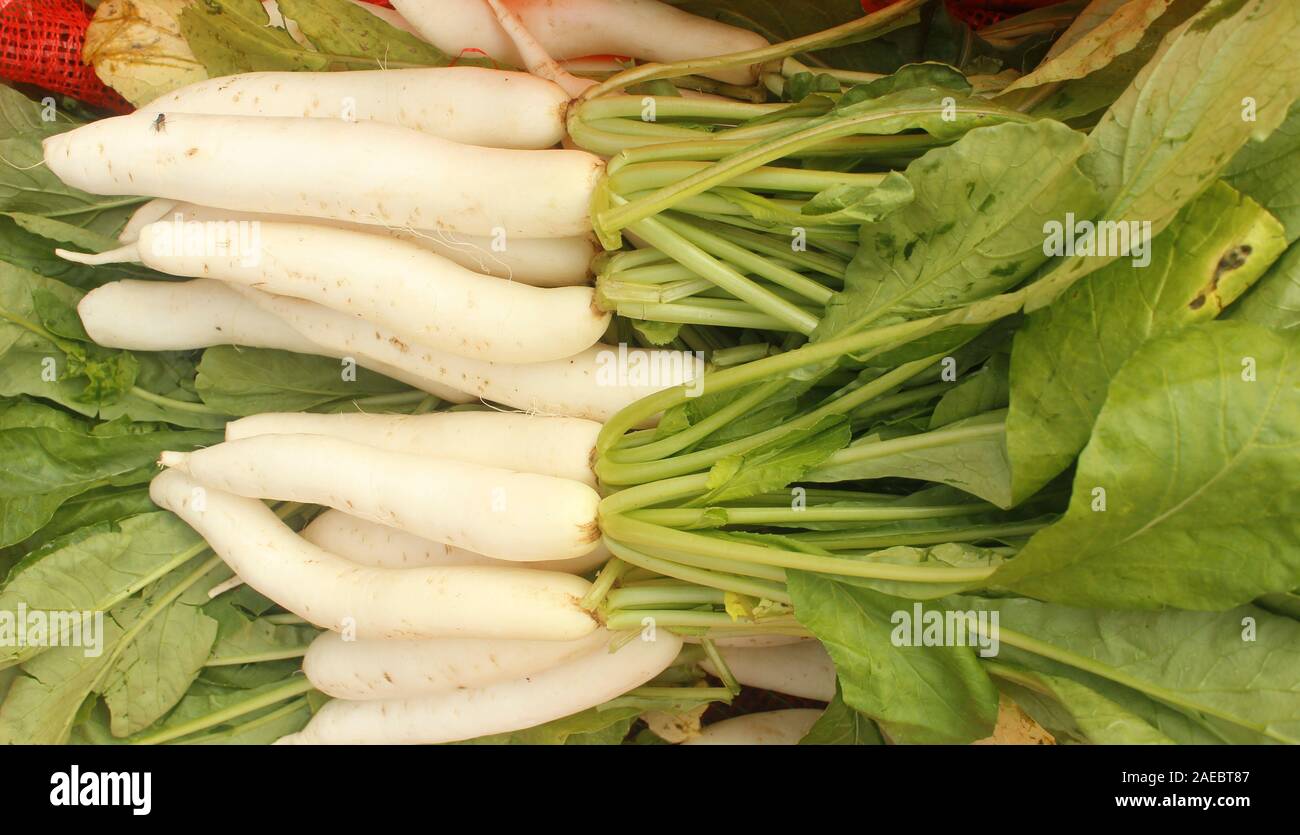 white parsnip stacking in vegetable market Stock Photo - Alamy