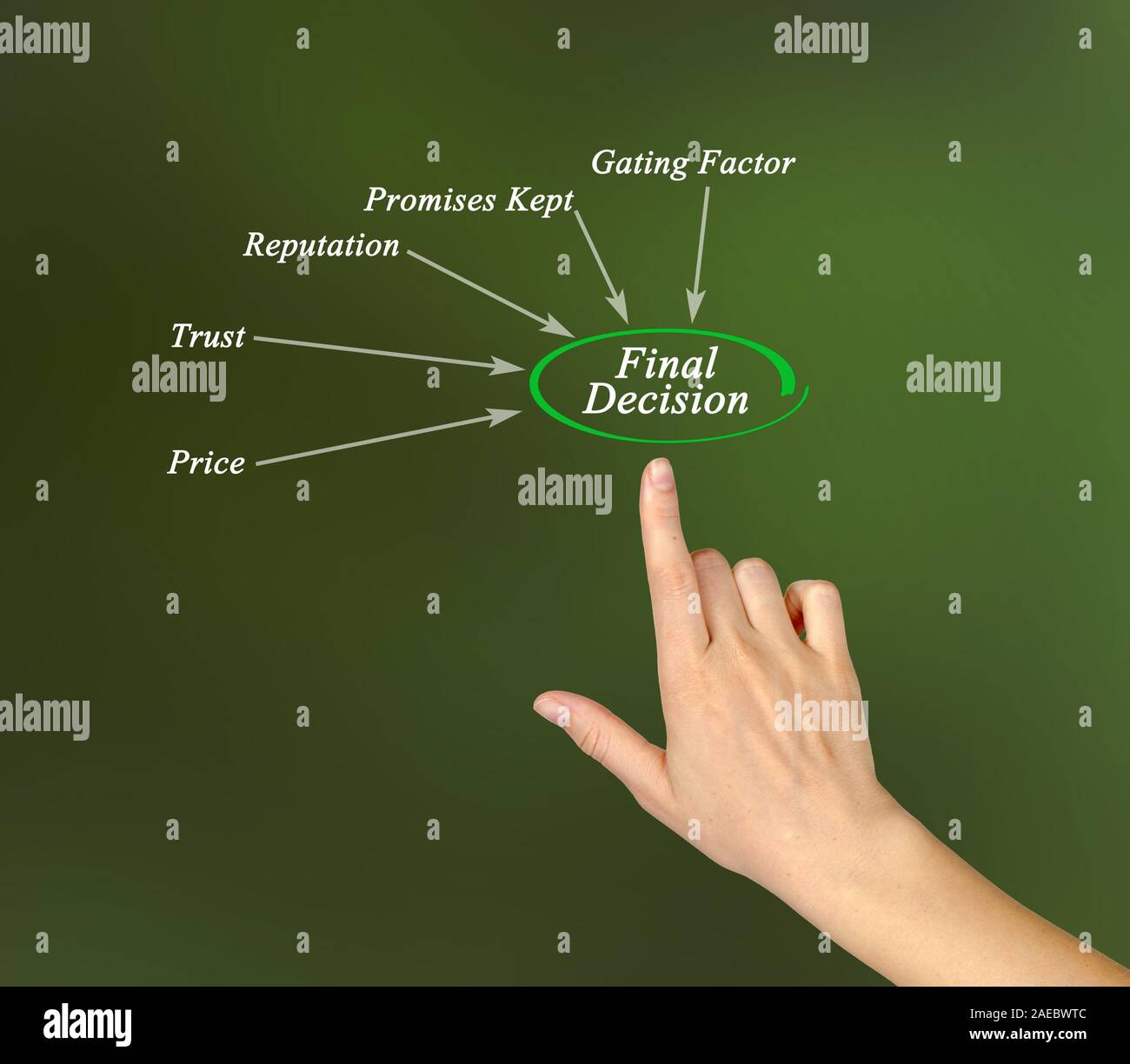 Female decision maker hi-res stock photography and images - Alamy