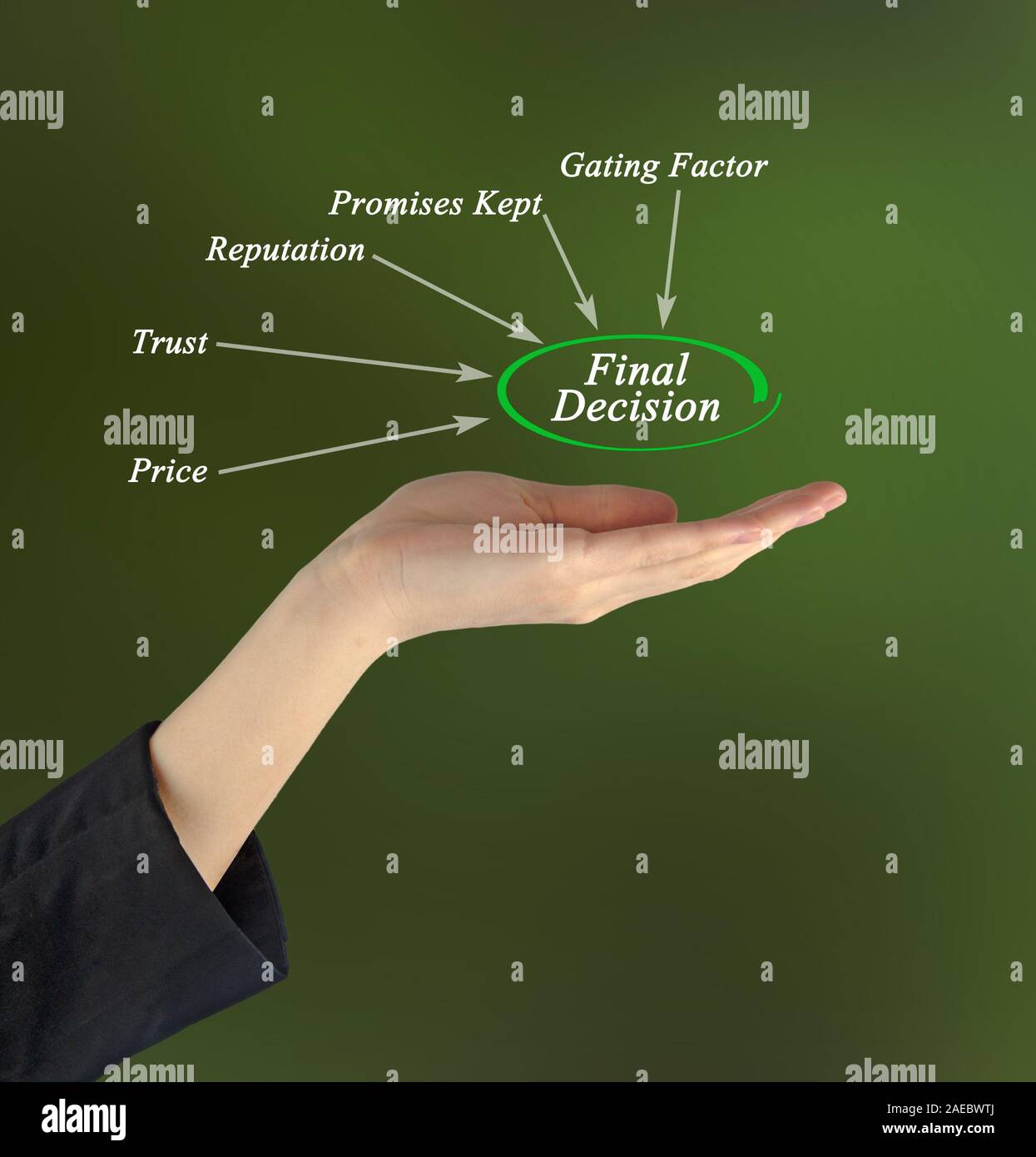 Female decision maker hi-res stock photography and images - Alamy