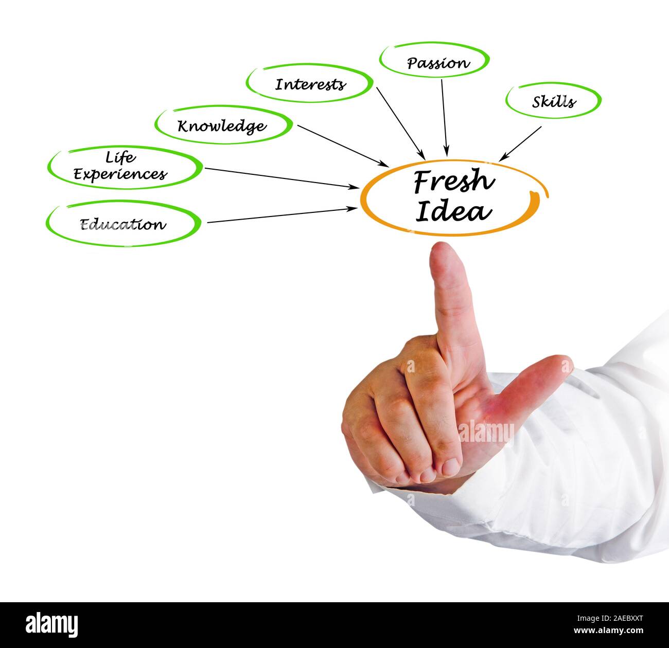 Fresh interest Cut Out Stock Images & Pictures - Alamy