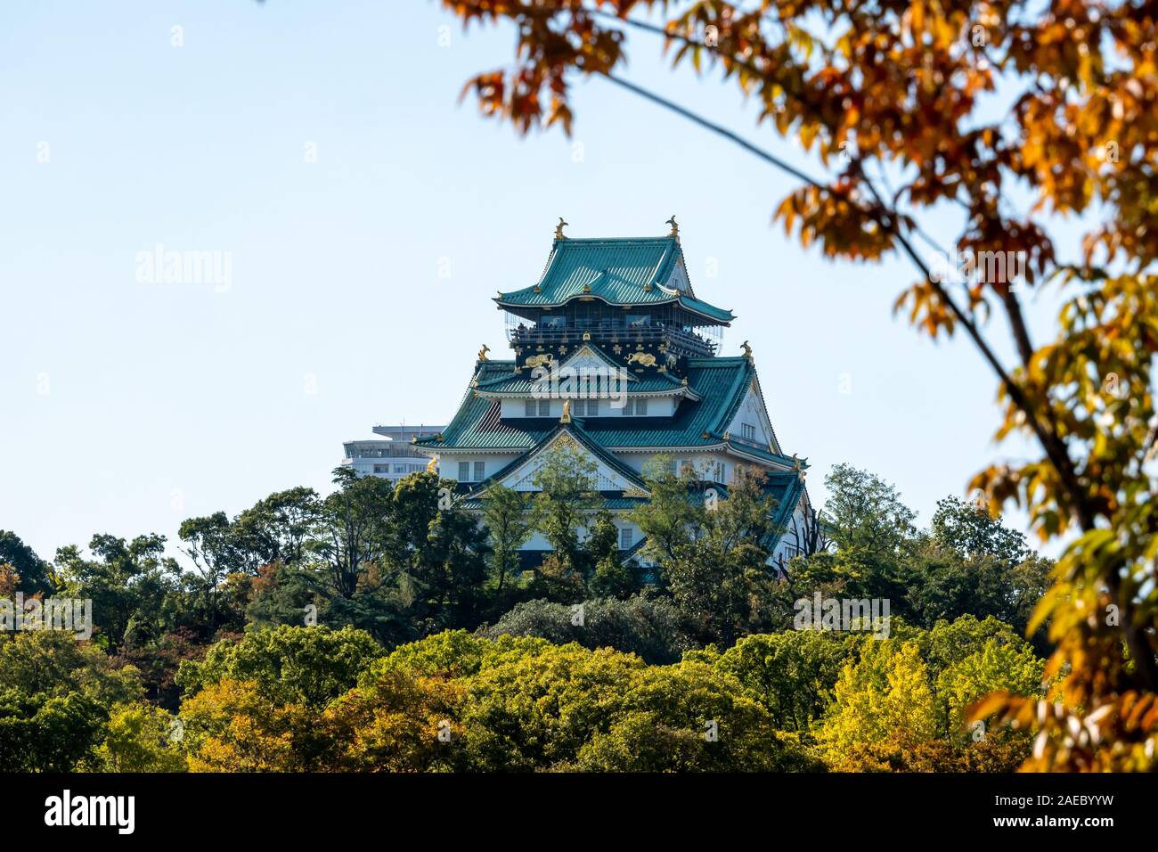 Osaka Castle in Osaka with autumn leaves. Japan Travel Concept Stock ...