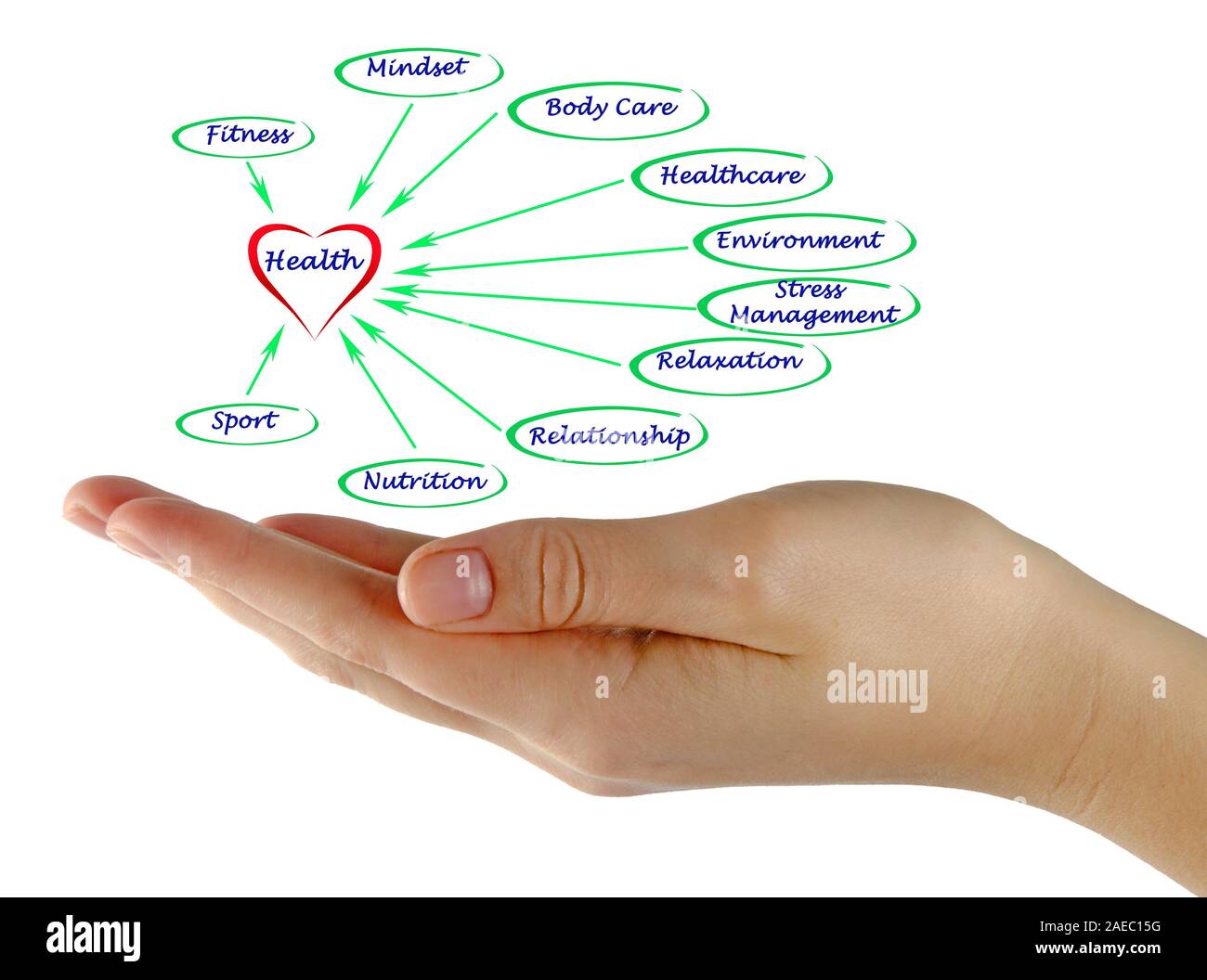 Diagram of health Stock Photo - Alamy