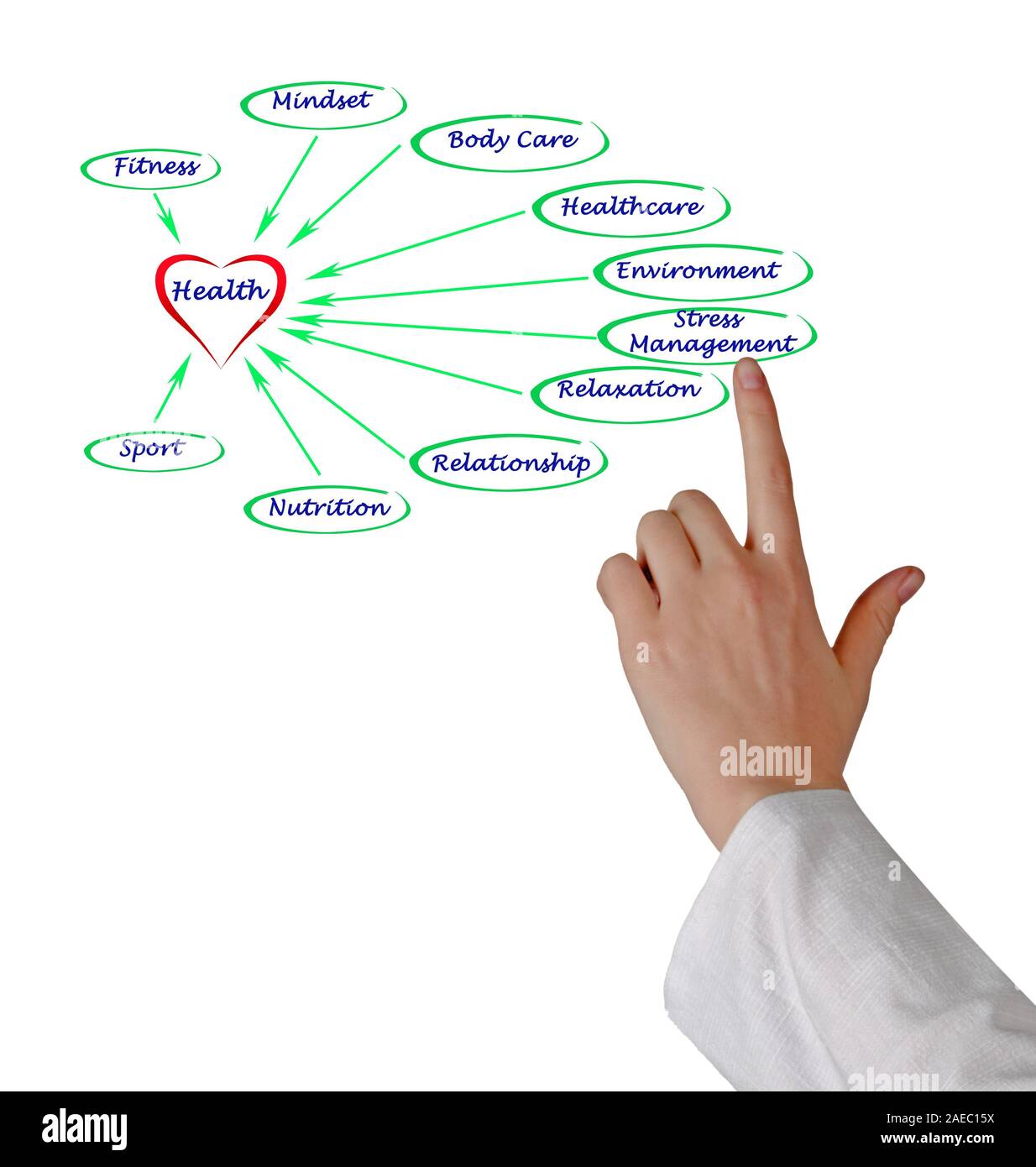 Diagram of health Stock Photo - Alamy