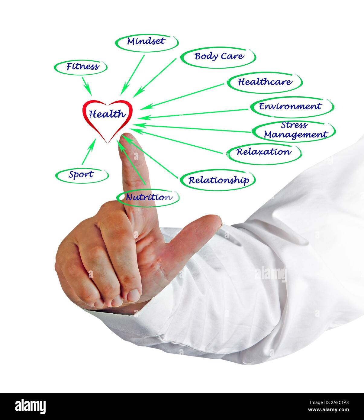 Diagram of health Stock Photo - Alamy