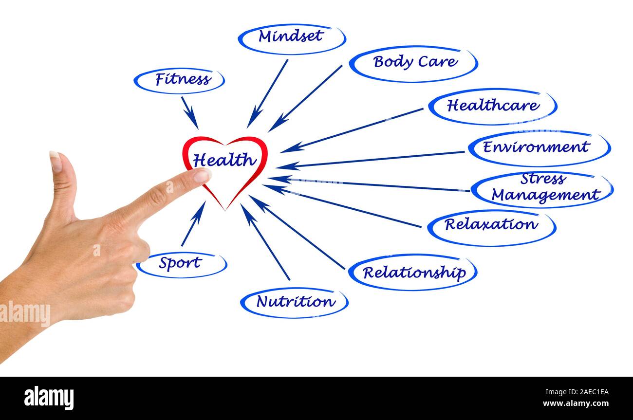 Diagram of health Stock Photo - Alamy